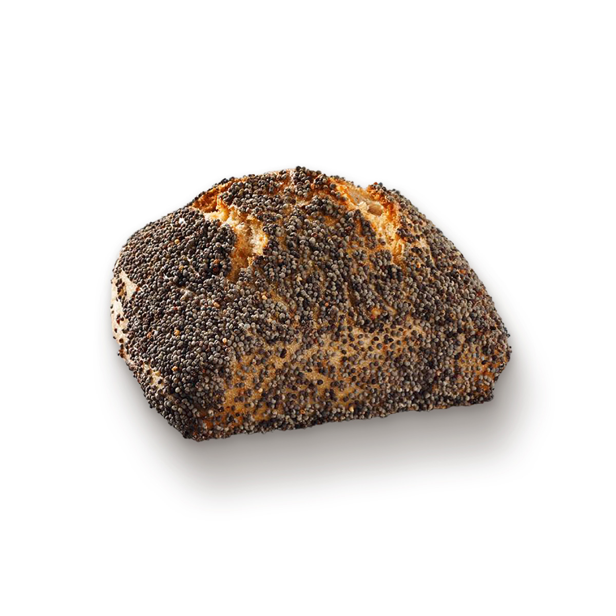 Poppy seed Pavé roll - classic-bread